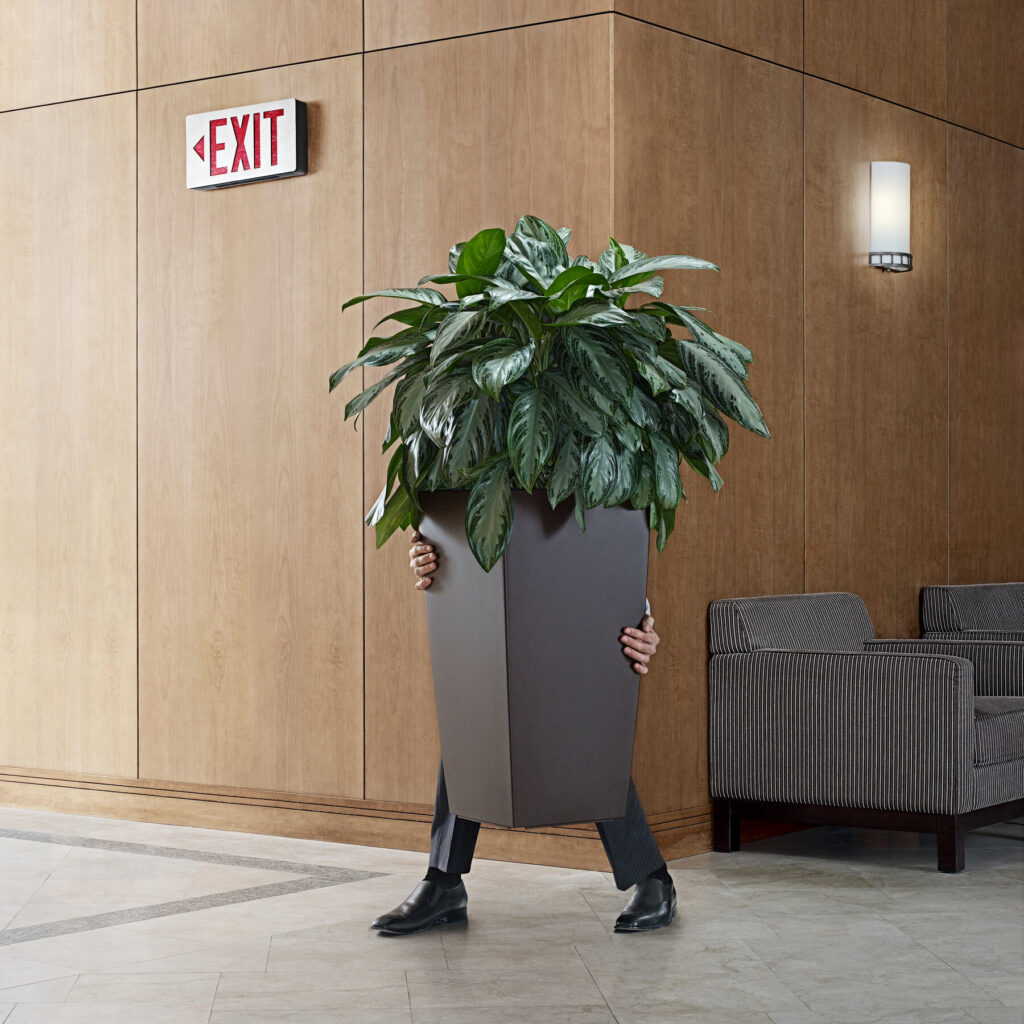 Understanding Silent Firing and Quiet Quitting – JK Consultants